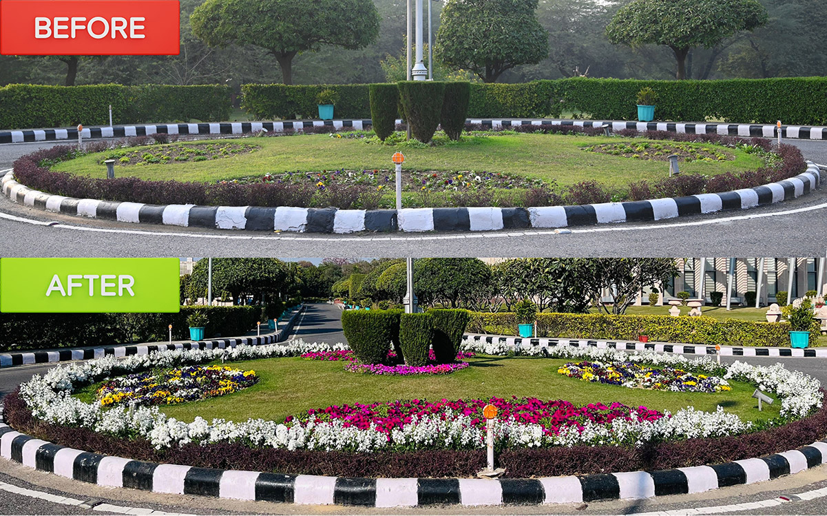 Understanding Plant Growth Timeline: Instant vs Real Growth